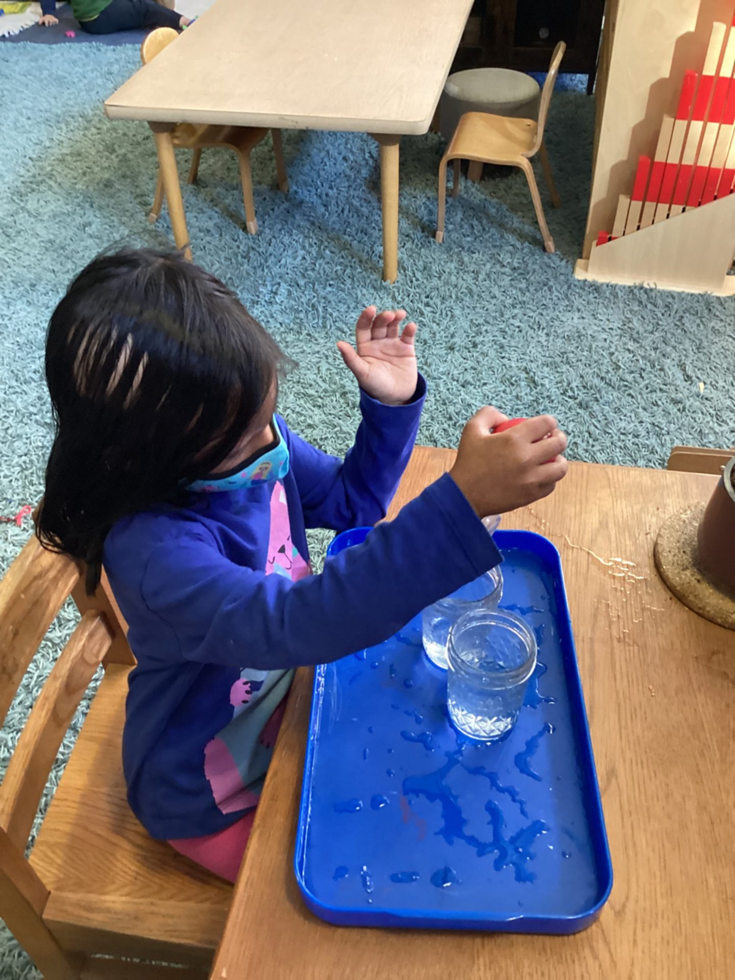 PRIMARY ADM: A Highlight on Practical Life – Greene Towne