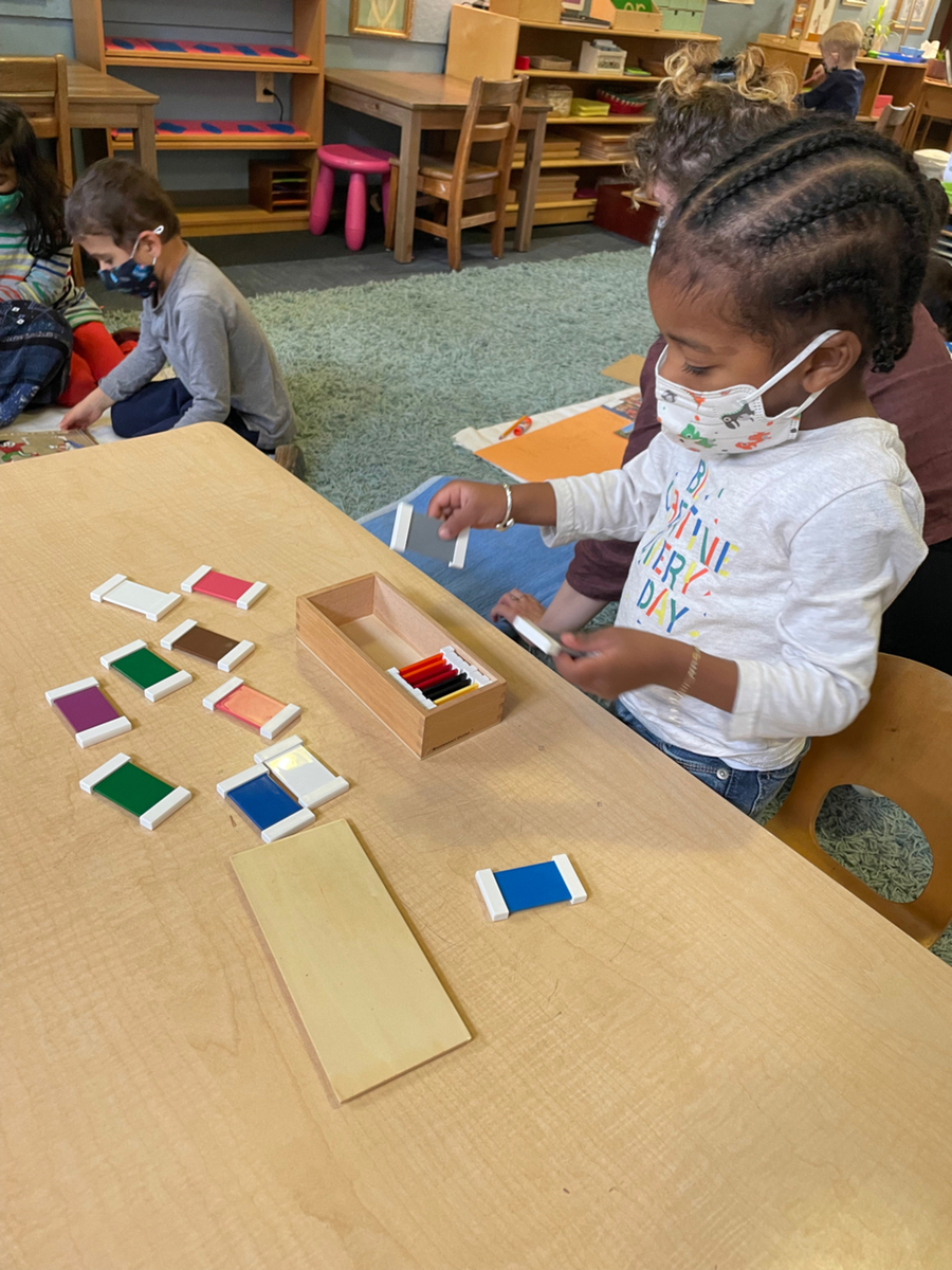 PRIMARY ADM: A Highlight on Sensorial Learning – Greene Towne
