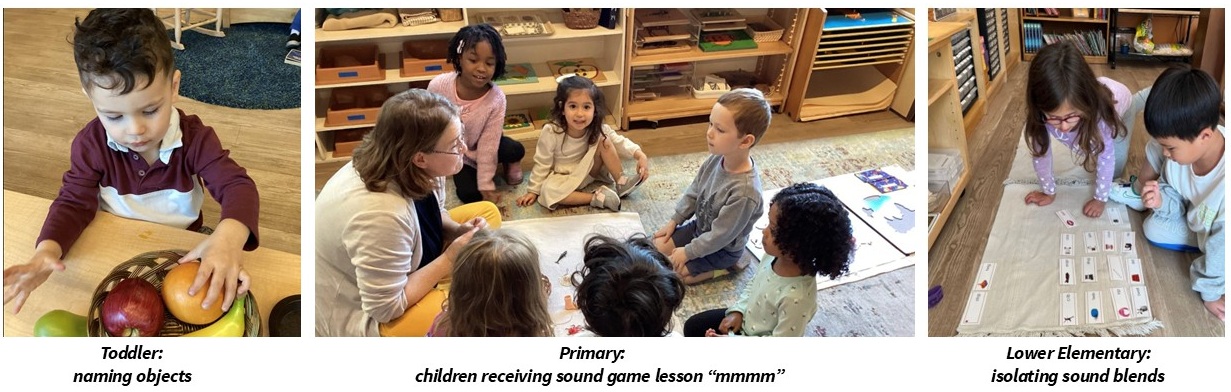 Curriculum Corner | Reading – Greene Towne