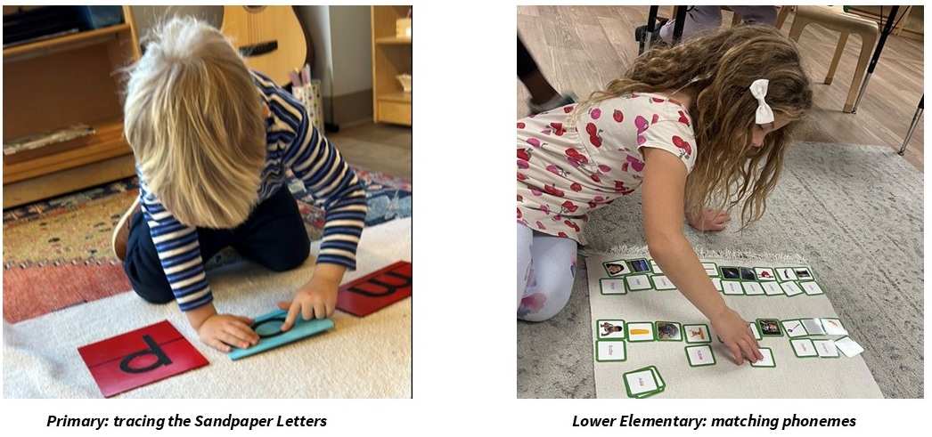 Curriculum Corner | Reading – Greene Towne