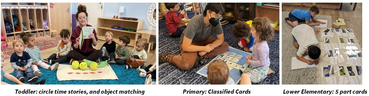 Curriculum Corner | Reading – Greene Towne